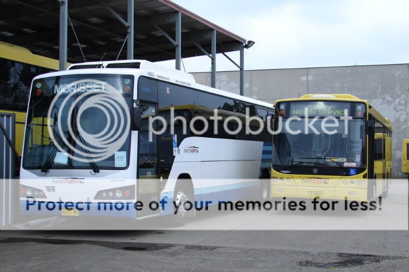 What Is Your Favourite Bus - Page 2