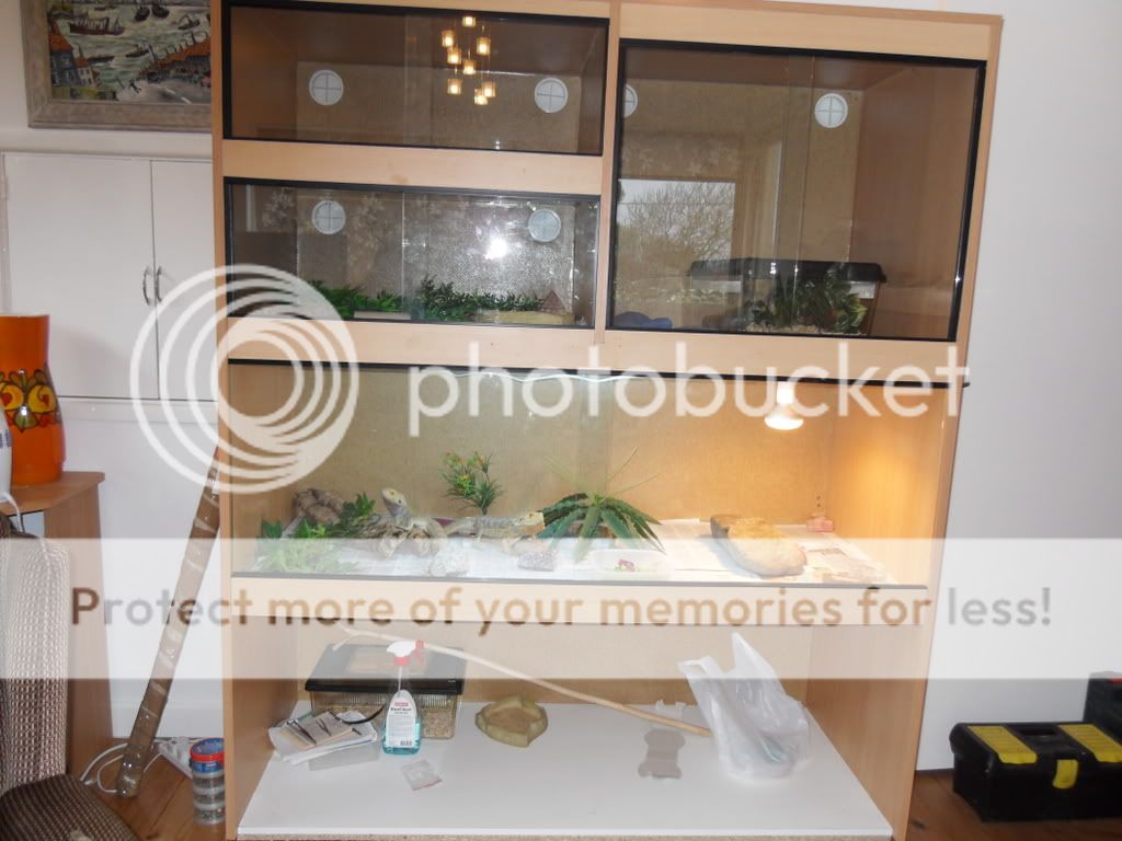 my viv stack build :D | Reptile Forums