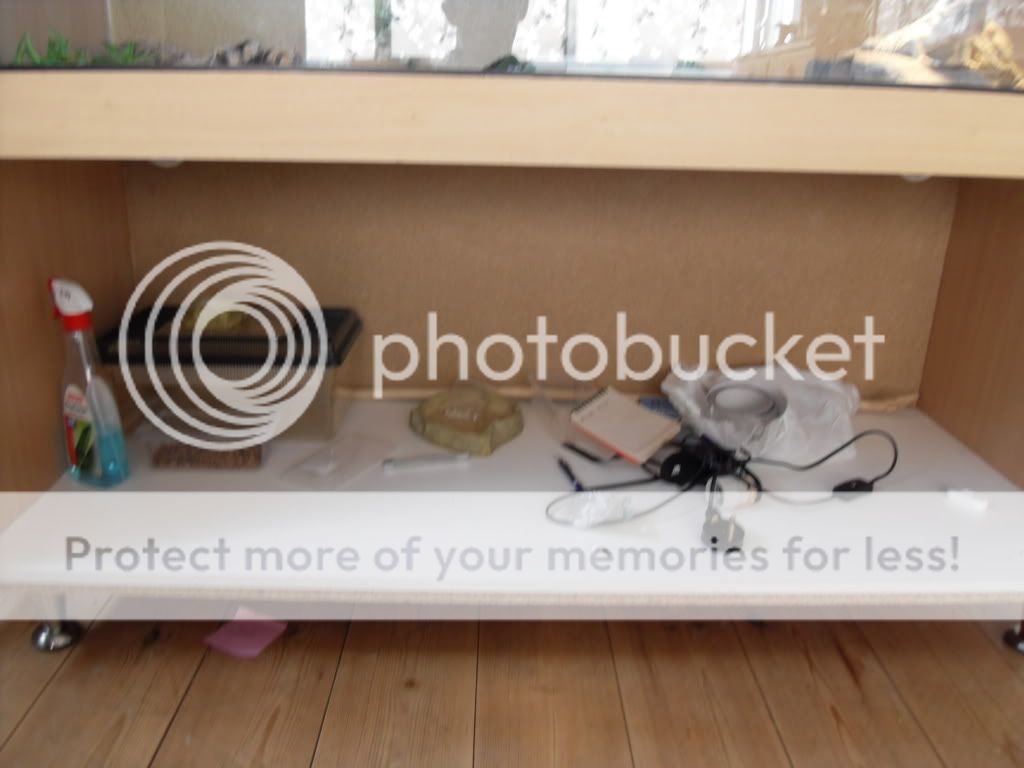 my viv stack build :D | Reptile Forums