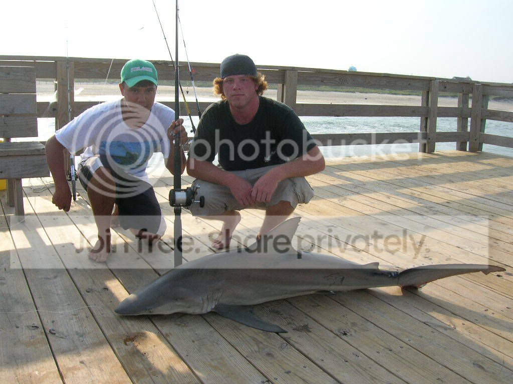 Avon Pier Shark 8/16/08 | Pier and Surf Forum
